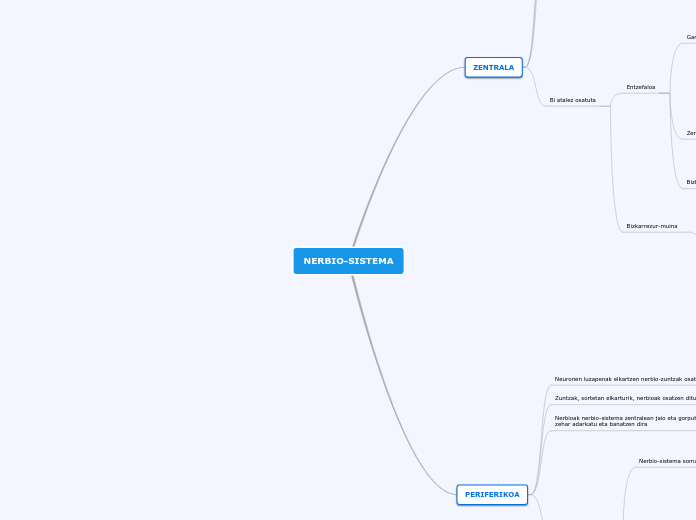 NERBIO-SISTEMA - Mind Map
